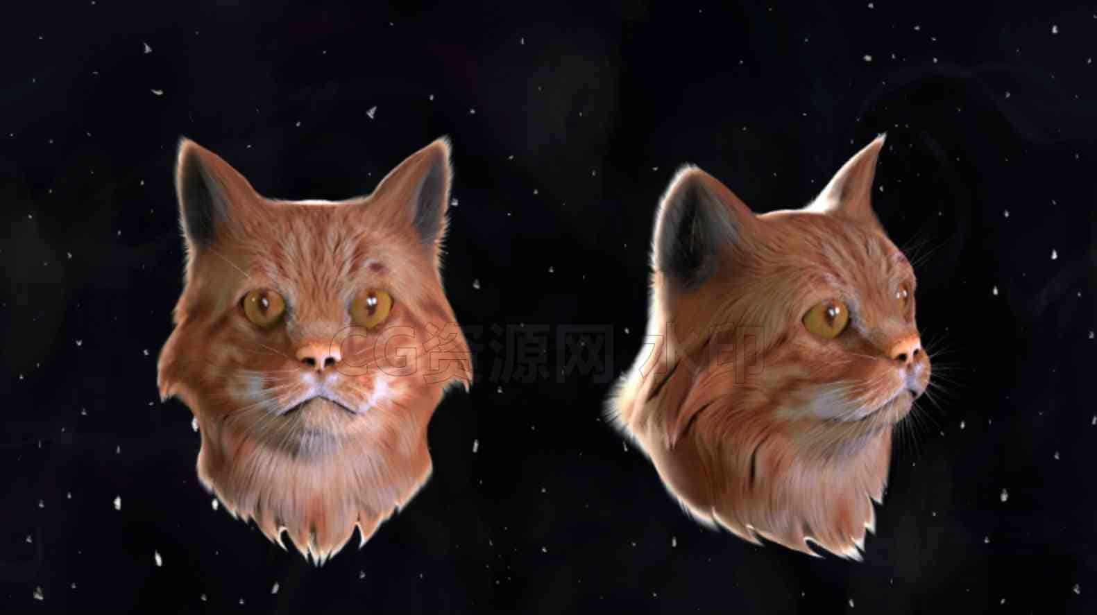 图片[2]-【完结】Houdini掌握猫毛发头发美容基础知识Fur Grooming Basics 在这个初学者友好的课程中学校123-B站 ...